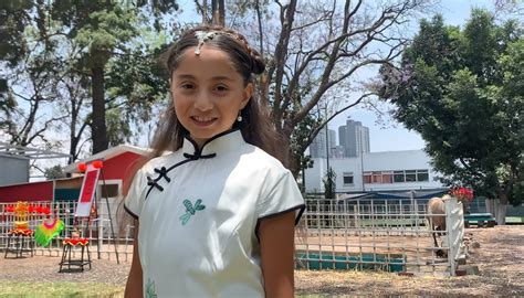 第3届 汉语桥”世界小学生中文比赛预赛