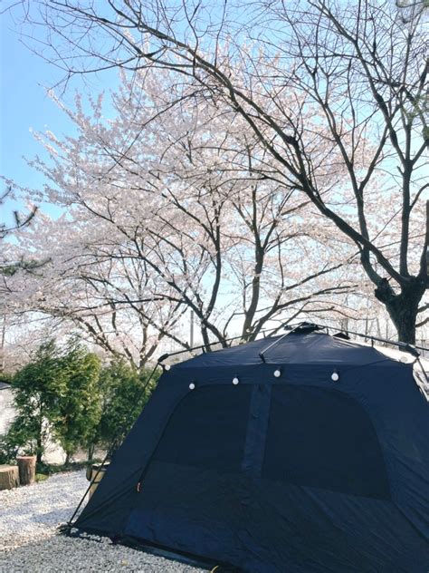 경기도 벚꽃 캠핑장 추천 김포 범바위 캠핑 정원 네이버 블로그