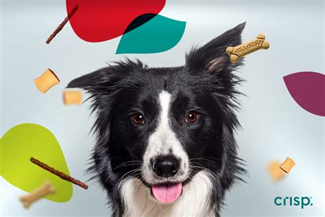 Crisp Data Platform Overview