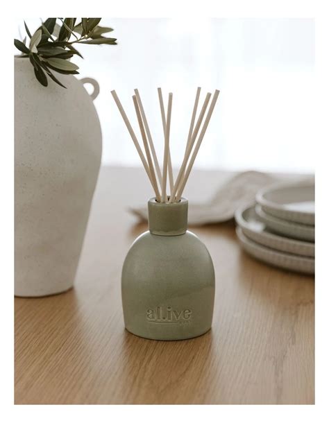 Alive Body Blackcurrant And Caribbean Wood Soy Diffuser Myer
