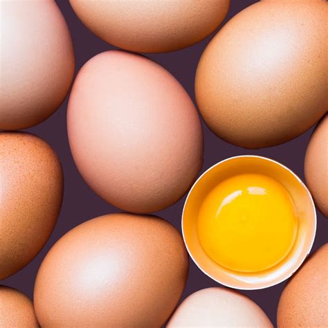 Different Types Of Eggs Everything Explained