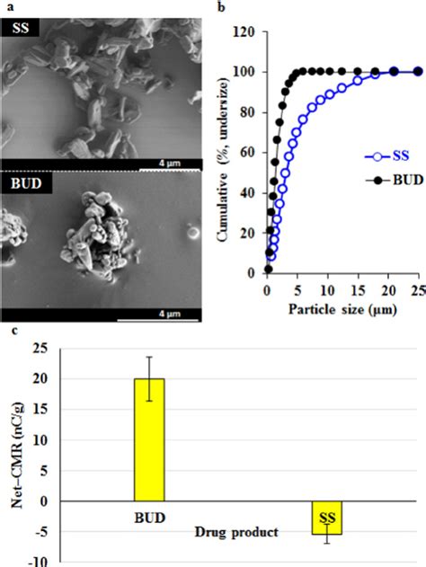 Scanning Electron Microscope A Cumulative Particle Size Distribution
