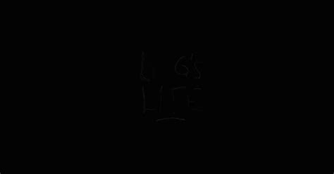 Bugs Life Foundation