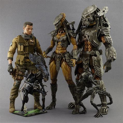 Wolf Predator Vs Berserker Predator