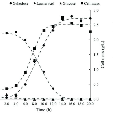 Batch Fermentation Kinetics Of Lactic Acid By Lactobacillus Pentosus Download Scientific