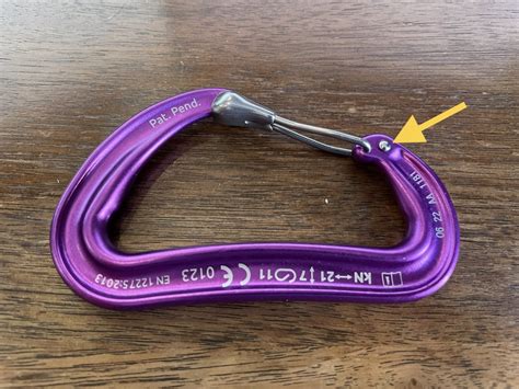 camp dyon gate issue