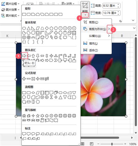 Excel如何把图片裁剪成向右箭头效果 软件自学网