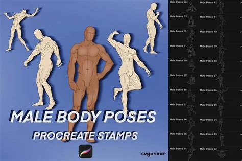 Procreate Design Mega Pack By Svgocean Free Download