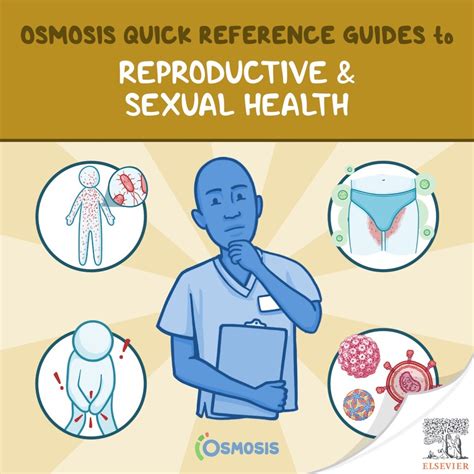 A Quick Reference Guide To Male Reproductive Health Disorders Osmosis Blog