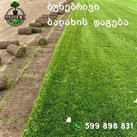 Park Ortachala • პარკ Park Ortachala • პარკ ორთაჭალა