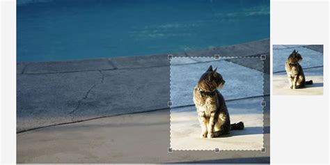 Js Tutorial Jcrop Quick And Easy Way To Crop Image