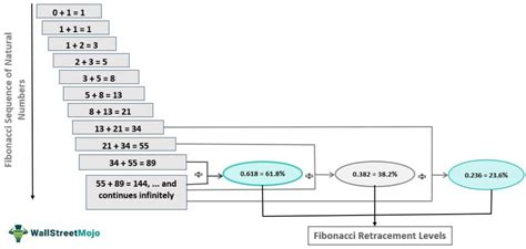 Fibonacci Retracement Meaning Levels Calculate Uses