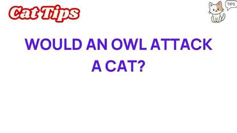 The Surprising Truth Would An Owl Attack A Cat