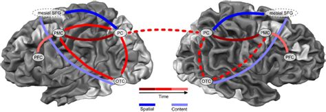 Dynamic Network Model Of Spatial Imagery This Figure Depicts The Download Scientific Diagram