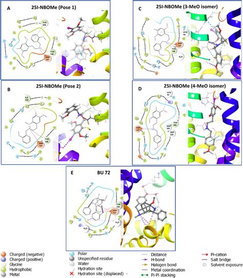 Electrostatic Interactions Within The µ Opioid Receptor Binding Site
