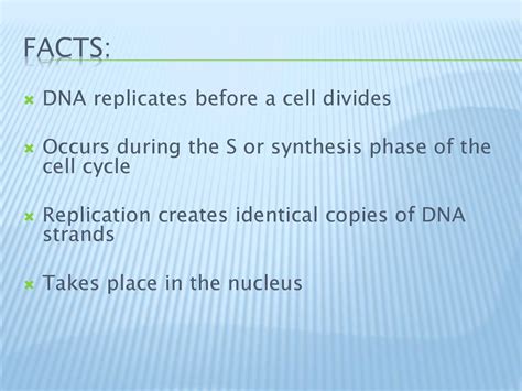 DNA Replication Created By Kim Useglia Former Student Teacher Ppt