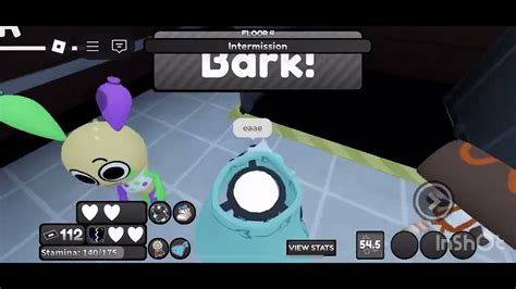 My Pebble Star Time Video Youtube