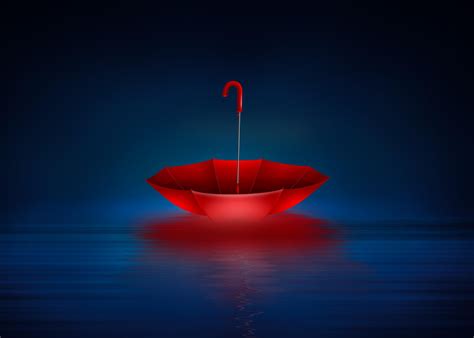 Shibui 渋い Nsulting