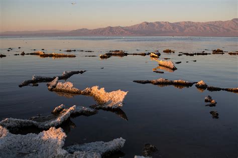Salton Sea