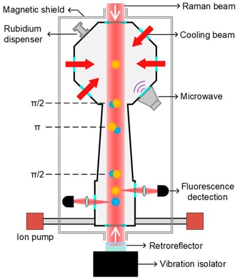 A Transportable Atomic Gravimeter With Constraint Structured Active Vibration Isolation