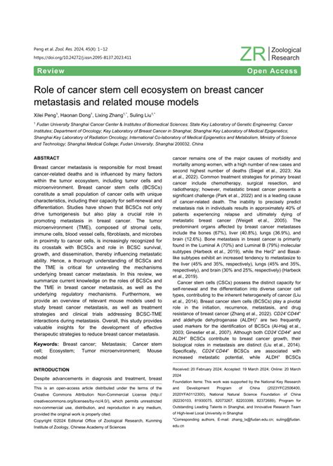 Pdf Role Of Cancer Stem Cell Ecosystem On Breast Cancer Metastasis And Related Mouse Models