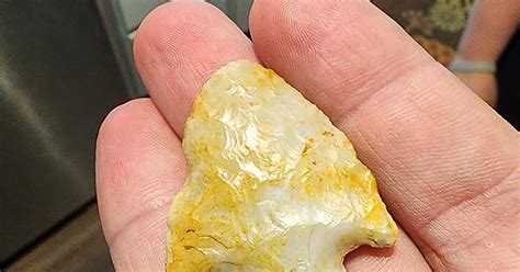 Can Anyone Give Me Details Of Tribe Age Point Type Type Of Animal