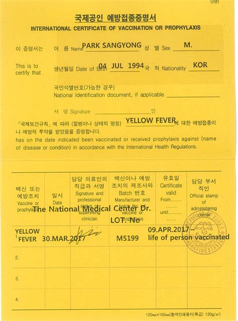 일반 남미여행 준비 게임조선