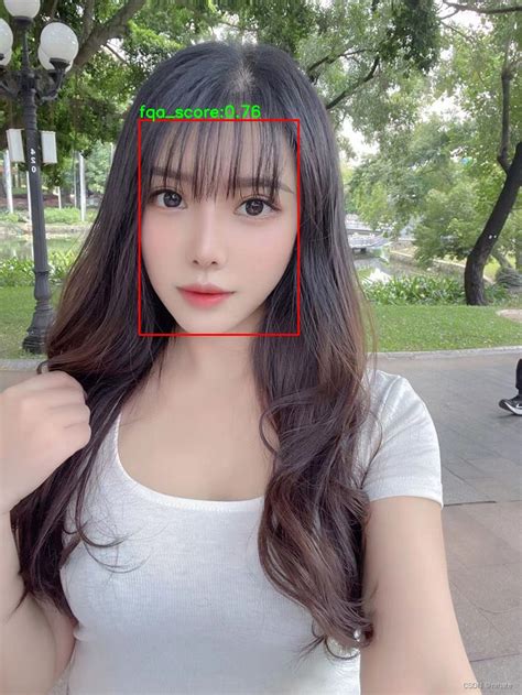 用opencv的dnn模块做yolov5目标检测opencv Yolov5 Csdn博客