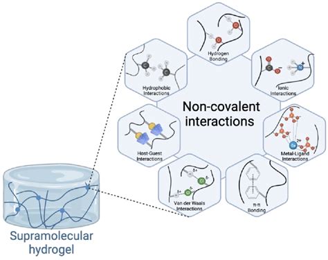 Non Covalent Interactions Used To Form Supramolecular Hydrogels Download Scientific Diagram