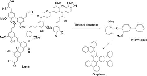 Schematic Of Lignin Structure Adopted From Ball 1992 Evolution During Download Scientific