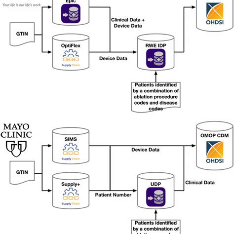 data integration model at mercy and mayo clinic download scientific