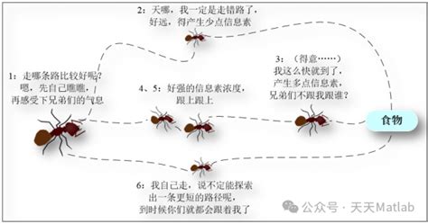 【vrp问题】基于蚁群算法求解带时间窗的生鲜产品配送车辆路径vrptw问题附matlab代码和模型蚁群算法求解混合车辆配送问题 Csdn博客