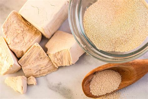Understanding Yeast And Its Role In Baking Best Baking Tips