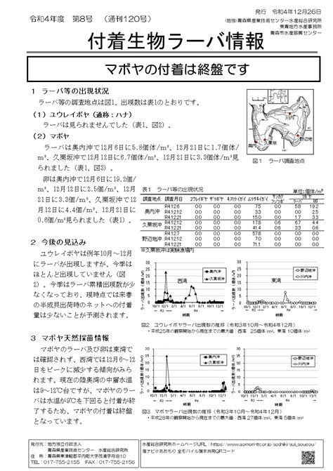 付着生物ラーバ情報20221226 地方独立行政法人 青森県産業技術センター