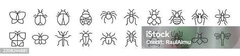 곤충 개요 이미지 모음 편집 가능한 스트로크 인포그래픽 기사 서적 전단지 배너에 적합 0명에 대한 스톡 벡터 아트 및 기타 이미지 Istock