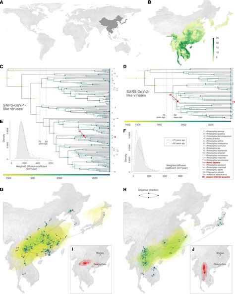 Hierarchical Diffusion Map