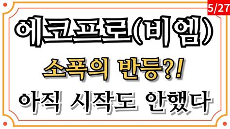 에코프로비엠 소폭반등 아직 시작도 안했습니다 Youtube
