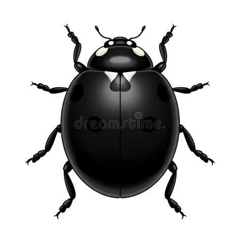 A Digital Illustration Of A Stylized Black Ladybug With A Glossy