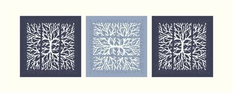 Tree Roots Vector Art Icons And Graphics For Free Download