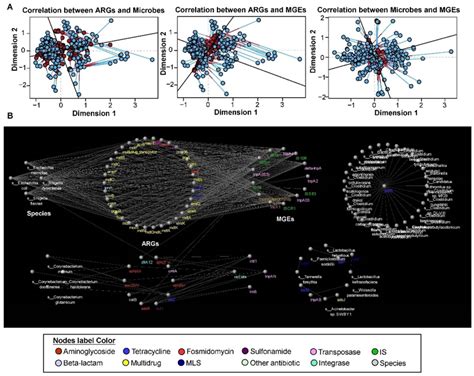 Co Occurrence Patterns Between Args Mges And Bacteria Species A The Download Scientific