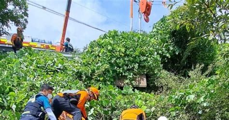 양구서 40대남 오토바이동호회 라이딩 중 1t 트럭과 충돌 숨져