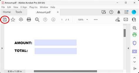 Displaying Currency Amounts In PDF Form Fields