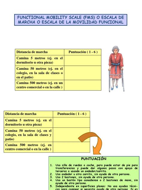Functional Mobility Scale Fms Funcionalidad Y Marcha Pdf