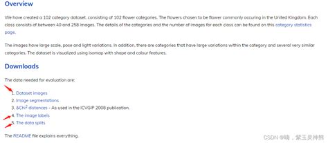 Pytorch实现深度学习常用图像分类数据集的划分与读取（oxford 102flower，cifar10cifar100）oxford数据集 Csdn博客