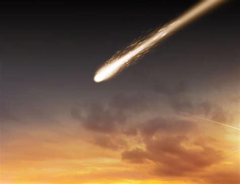 Rotifers What Are Characteristics Types And Examples Evidence Network