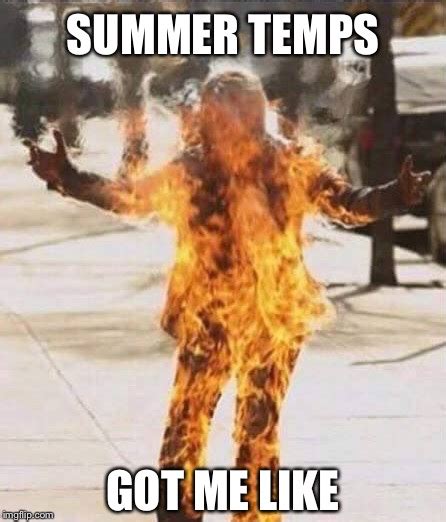 Summer Sun Meme