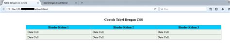 Penggunaan Css Inline And Internal Datuk Ngoding