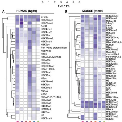 Ars From Different Species Are Biochemically Active Elements In Humans