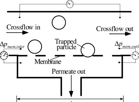 Spherical Particles In A Crossflow Microfiltration Module Download