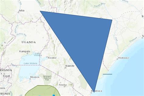 Geoprocessing Strange Polygon Shape Rendering In Arcgis Javascript